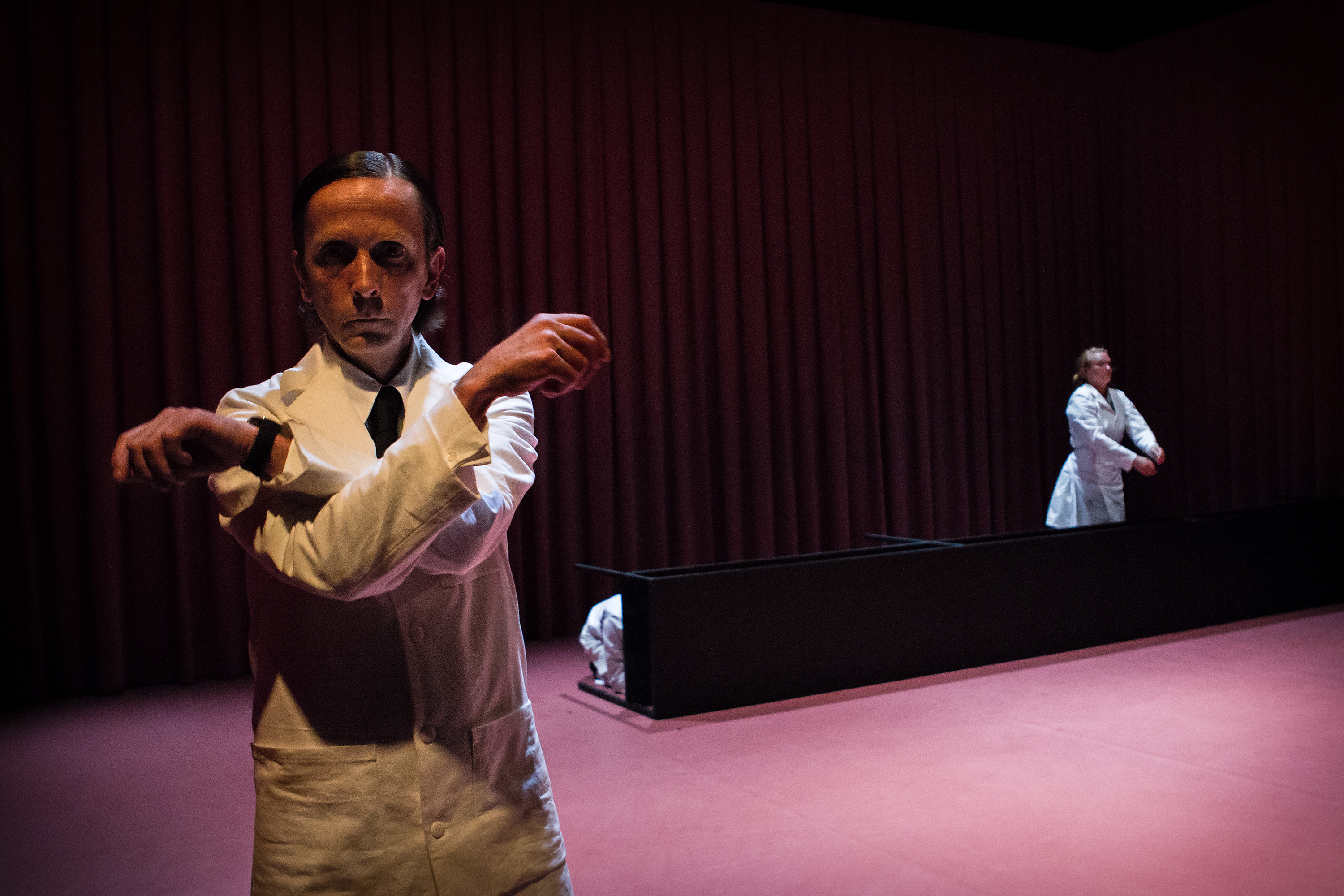 Press - Doppelgänger